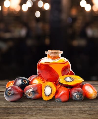 Halder Venture Limited | Emerging Leaders in Indian Rice Industry and ...